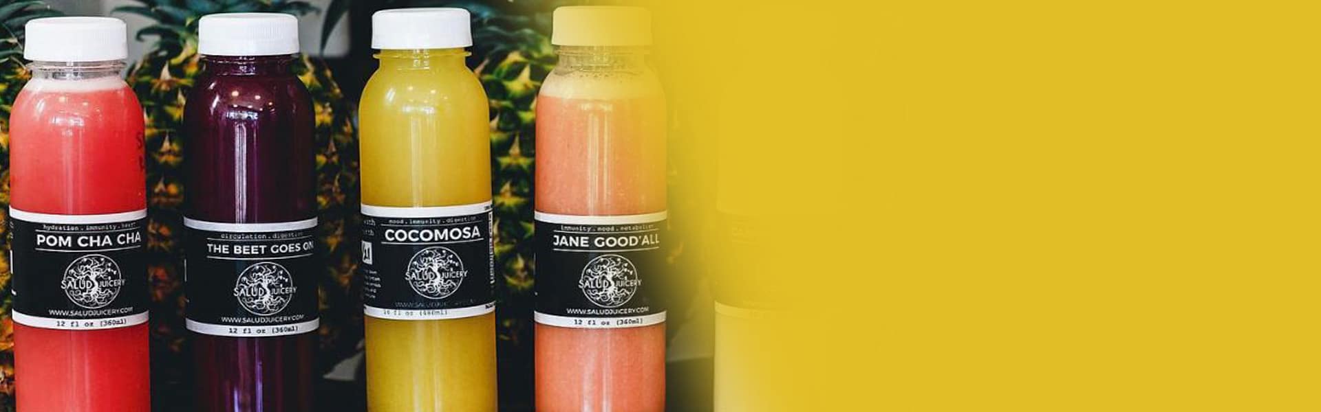 Cold Pressed Juice Bottles